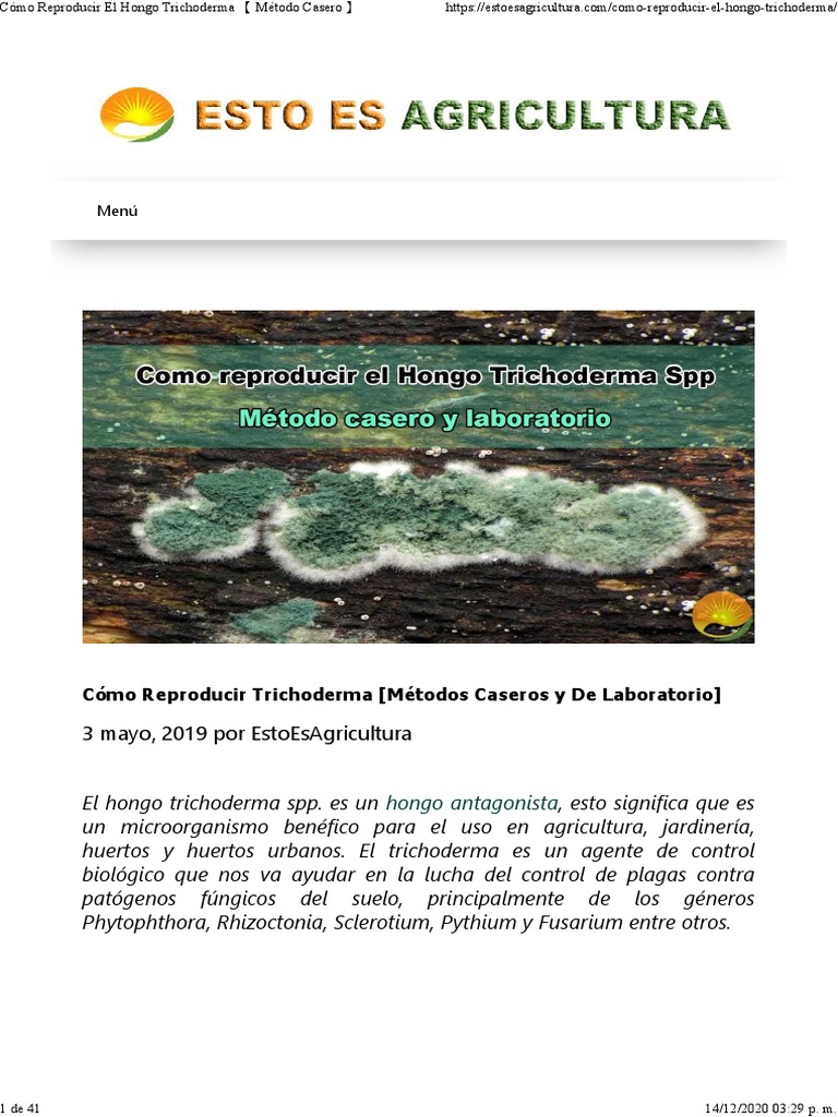 Reproduccion de Tricodermas | PDF | Hongo | Plantas