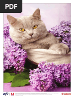 Onyx Quality Test PDF | PDF | Printing | Computer Graphics