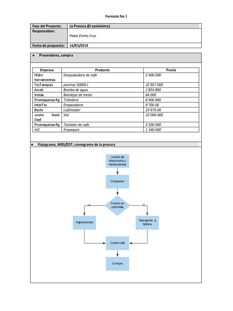 Formatos Implementación de Solucion | PDF | café | Empresas