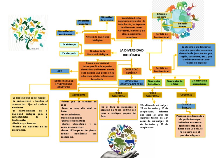 MAPA CONCEPTUAL DE LA DIVERSIDAD BIOLÓGICA | PDF | Biodiversidad | Fauna