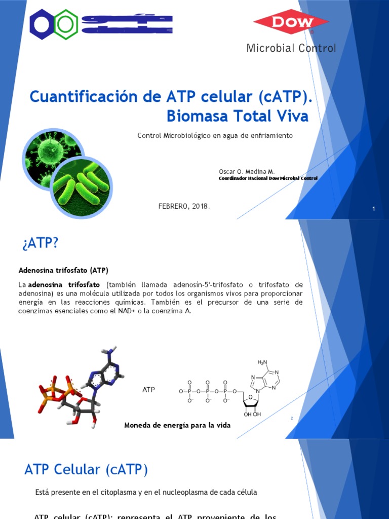Cuantificación de ATP Celular (CATP) | PDF | Trifosfato de adenosina | Agua