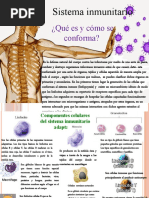 Mapa Conceptual-Sistema Inmune | PDF