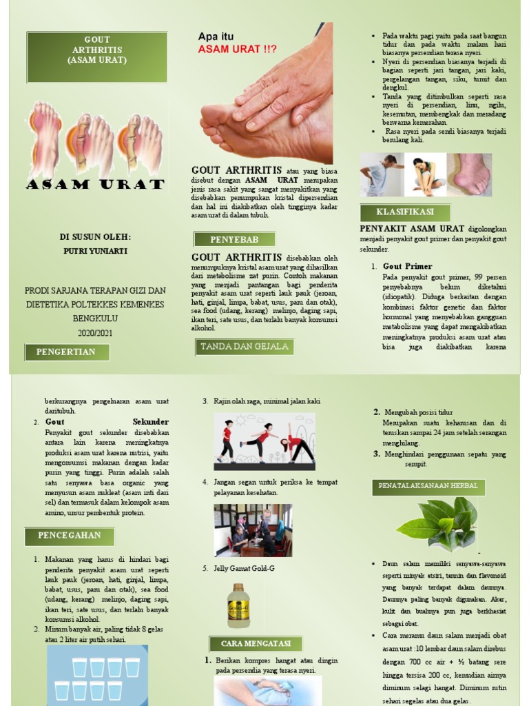 Panduan Gout Arthritis dan Pencegahannya | PDF