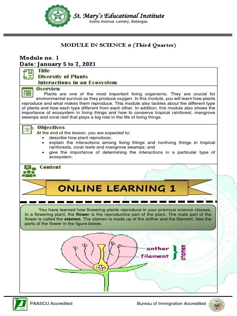 Science 6 Module 1 3rd Q | PDF | Flowers | Pollination