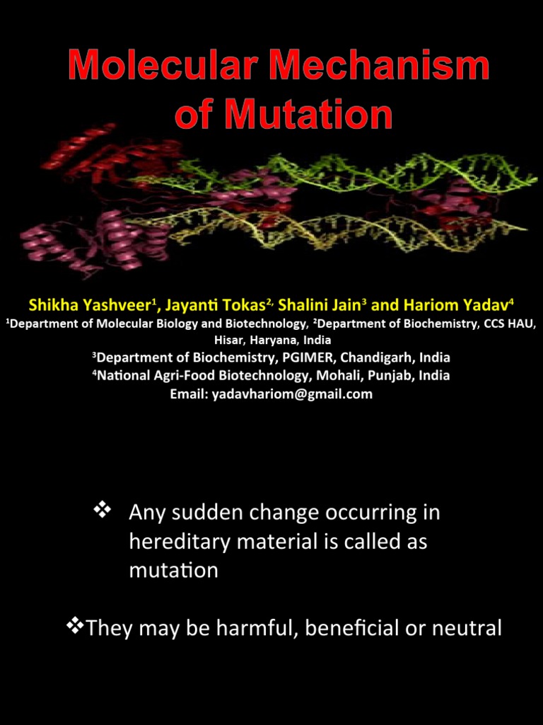 Molecular Mechanism of Mutation | PDF | Point Mutation | Mutation