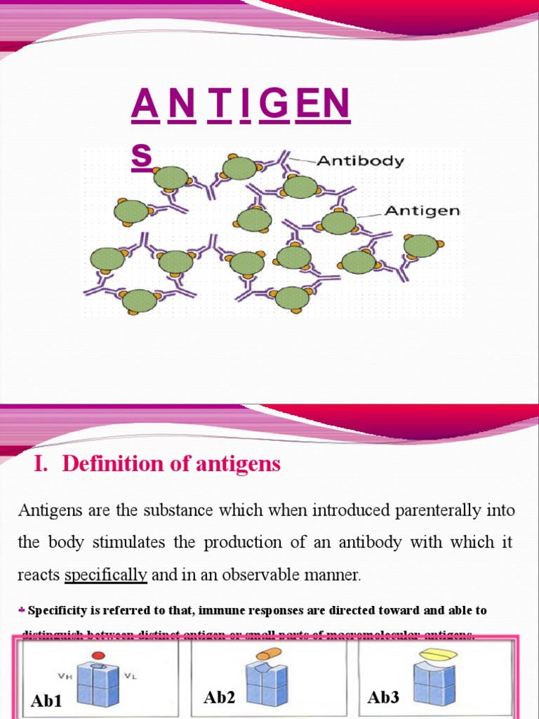 Antigen | PDF | Antigen | Immunogenicity