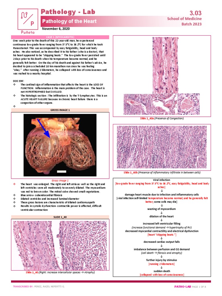 Pathology - Lab: Pathology of The Heart | PDF | Myocardial Infarction ...