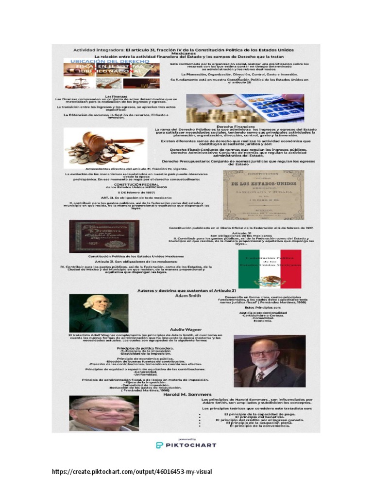 Infografia Articulo 31 | PDF