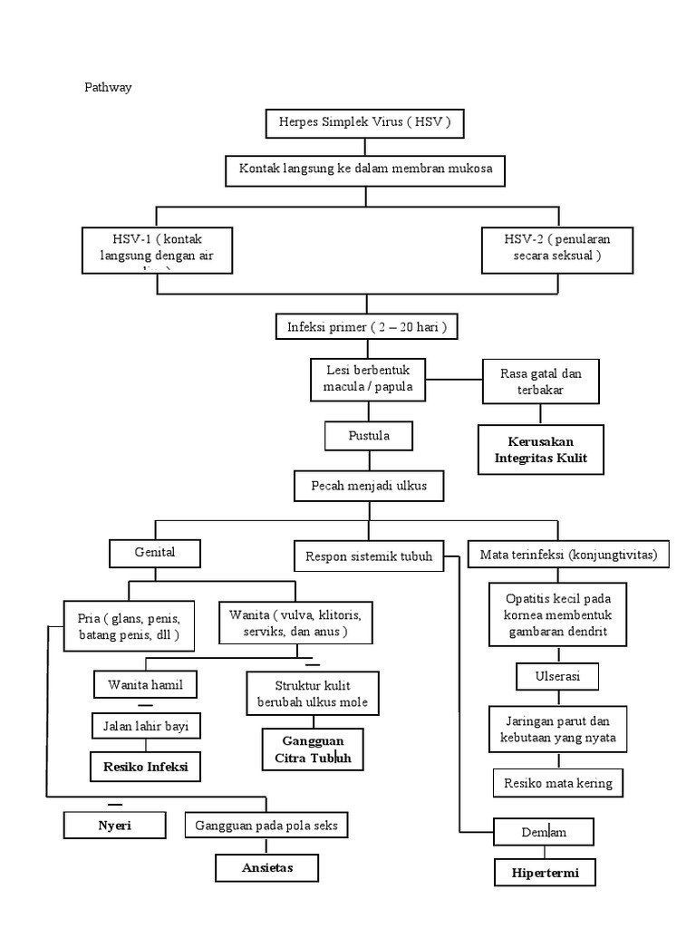 Pathway Herpes | PDF