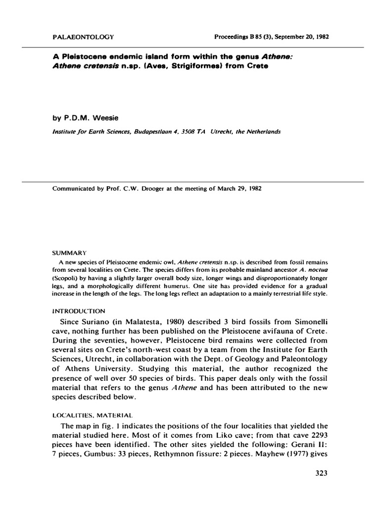 An Extinct Species of Pleistocene Endemic Owl Described from Fossil ...