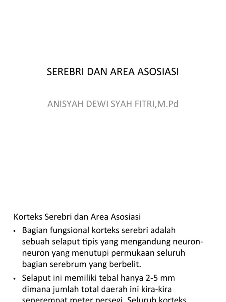 Serebri Dan Area Asosiasi | PDF | Sains & Matematika