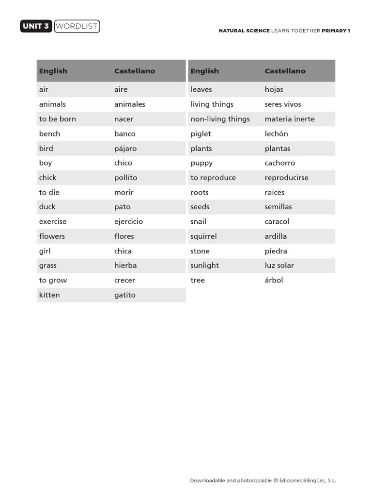 English Castellano English Castellano: Unit 3 | PDF | Science & Mathematics