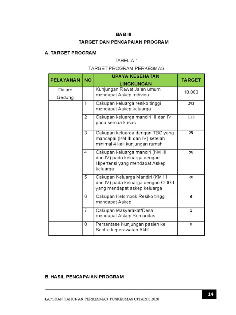 Bab III Target Dan Pencapaian Program | PDF