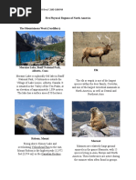 Daily Bing Rewards Activities Summary | PDF