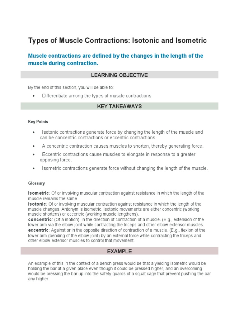 Isometric vs. Isotonic Muscle Contractions | PDF | Muscle Contraction ...