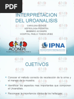 Prospecto-INMUFLU TBS - JAB | PDF | Sistema inmune | Linfocitos