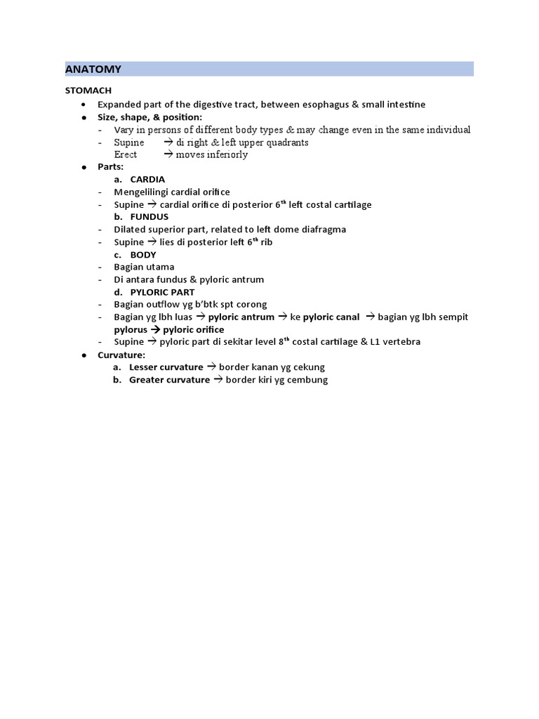 Anatomy Gaster | PDF