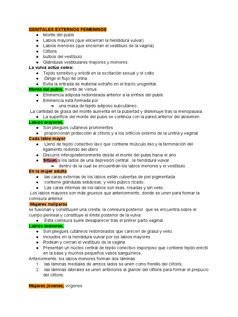 Anatomía de los genitales externos femeninos | PDF | Labios | Vagina