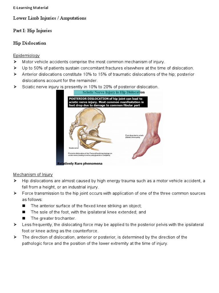 Lower Limb Injuries | PDF | Ankle | Knee