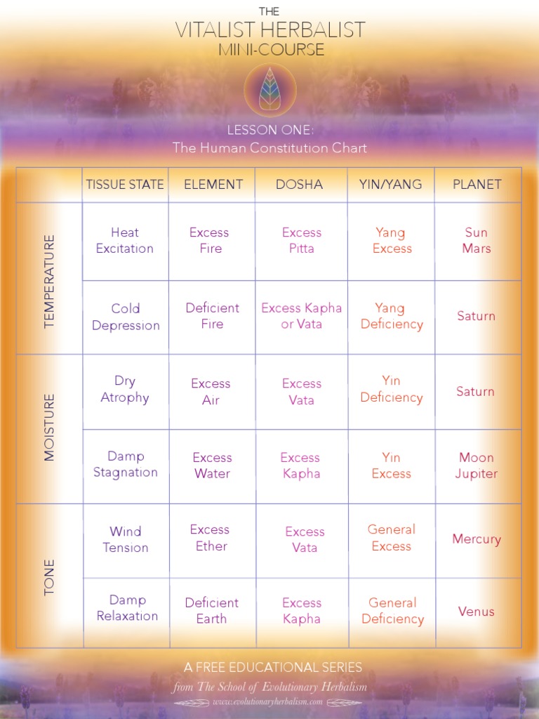 Lesson+One +human Constitution Table | PDF