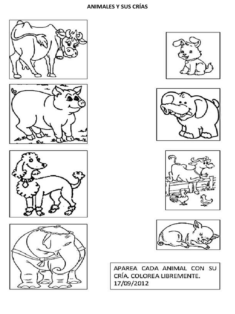 ANIMALES Y SUS CRÍAS | PDF