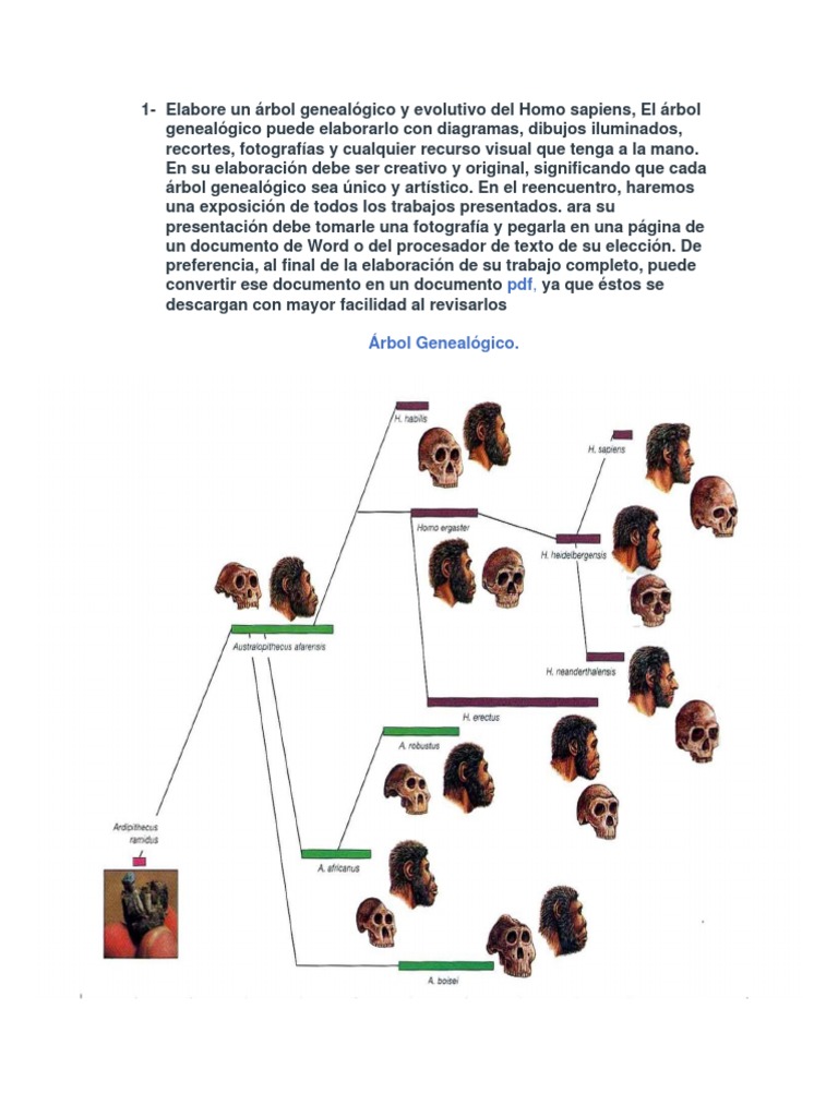 Elabore Un Árbol Genealógico y Evolutivo Del Homo Sapiens ISAAC | PDF ...