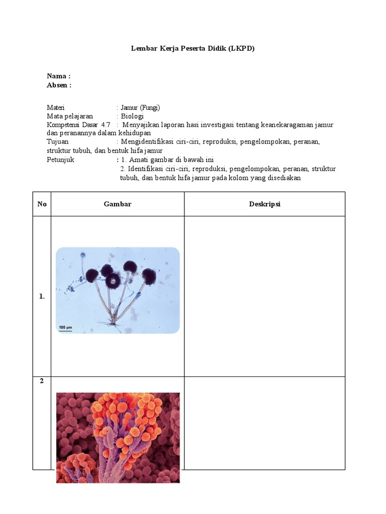 LKPD Biologi Jamur Fungi Ciri Reproduksi Peranan Struktur Hifa | PDF
