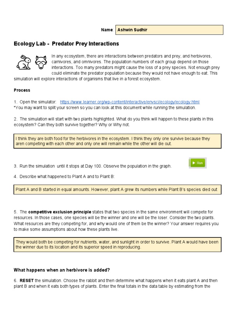 Ecology Lab - Predator Prey Interactions | PDF | Predation | Herbivore