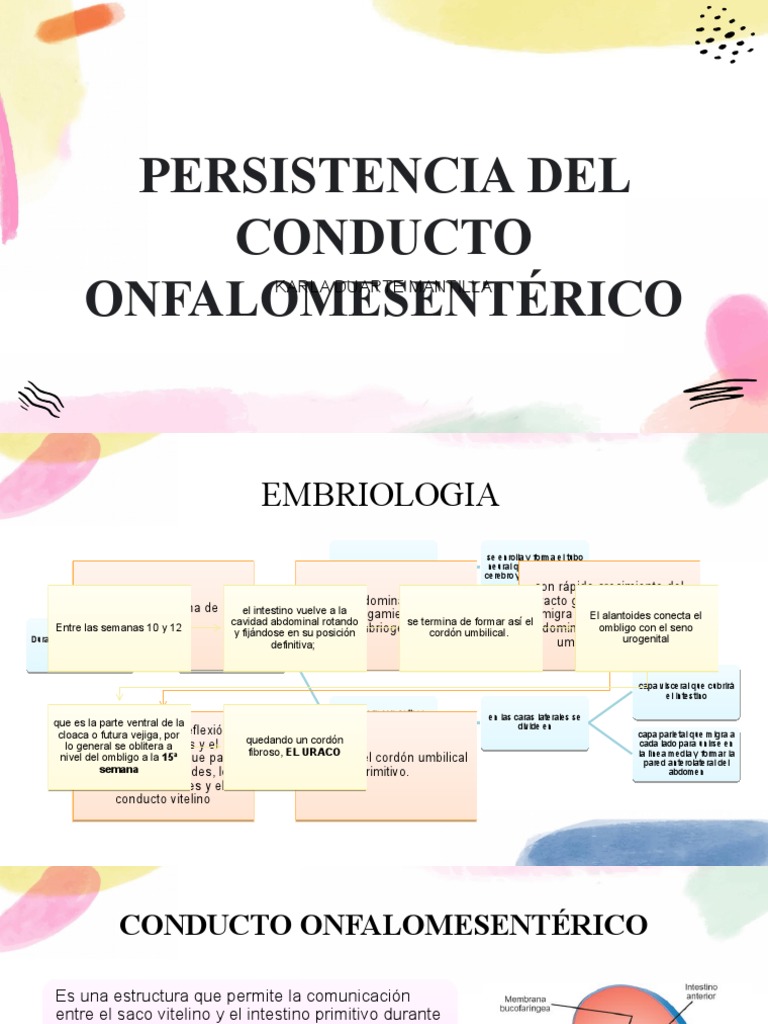 Persistencia Del Conducto Onfalomesenterico | PDF | Anatomía ...