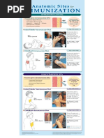 Green Book Chapter 4 | PDF | Injection (Medicine) | Vaccines