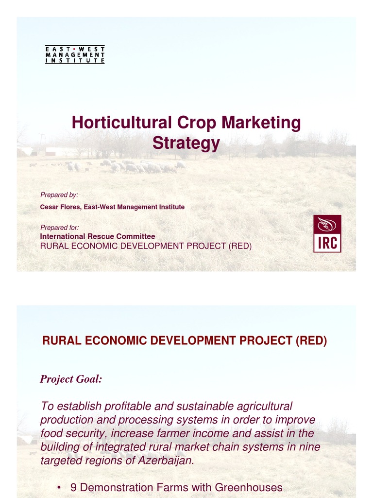 Horticultural Marketing Strategy for Azerbaijan | PDF | Tomato | Greenhouse
