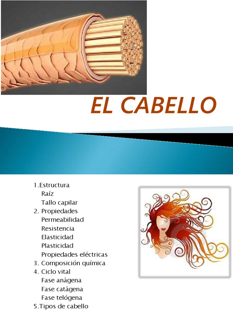 Estructura y Propiedades del Cabello | PDF | Pelo | Sistema tegumentario