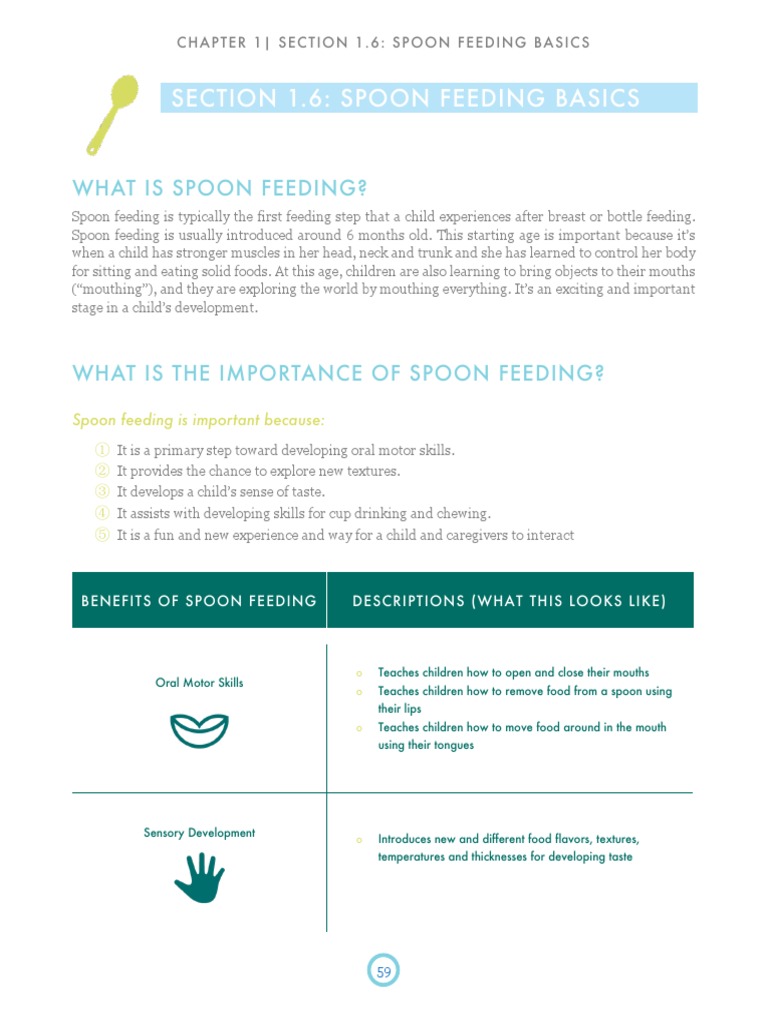 Chapter 1 Section 6 Spoon Feeding Basics | PDF | Spoon | Caregiver