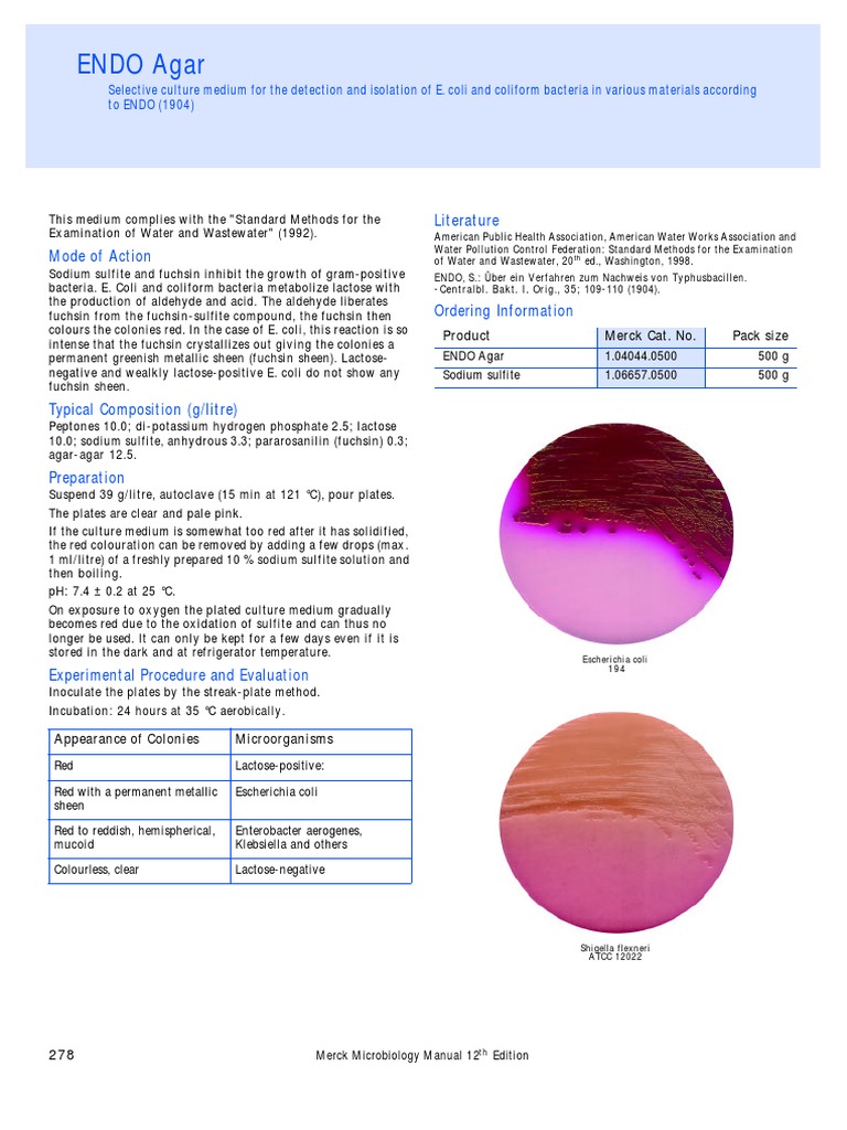 ENDO Agar: Mode of Action Literature | PDF | Escherichia Coli | Agar