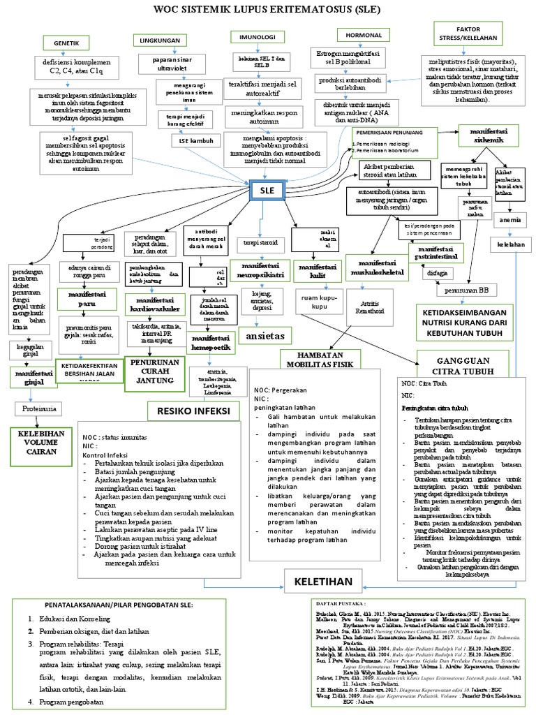 Woc Lupus Eritematosus Sistemik | PDF