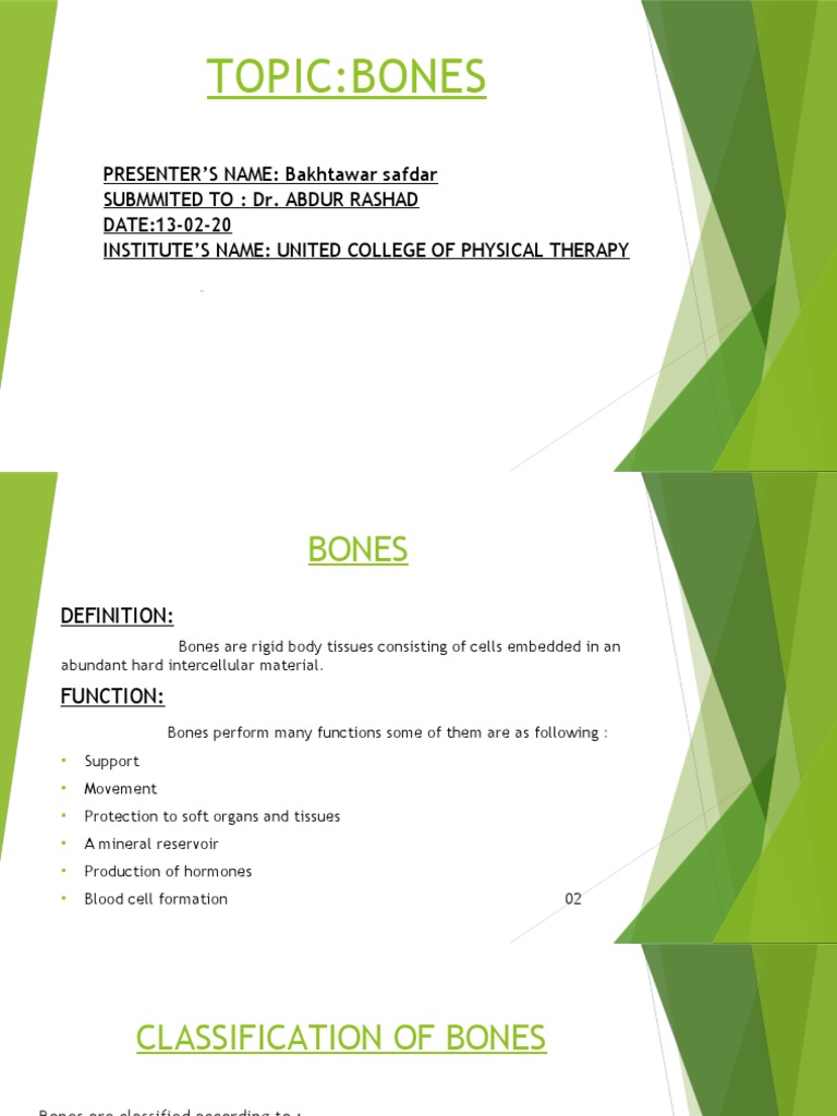 Bones: Classification, Structure and Functions | PDF | Bone | Skull
