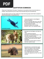 Leaf Tailed Geckos Adaptations | PDF | Predation | Camouflage