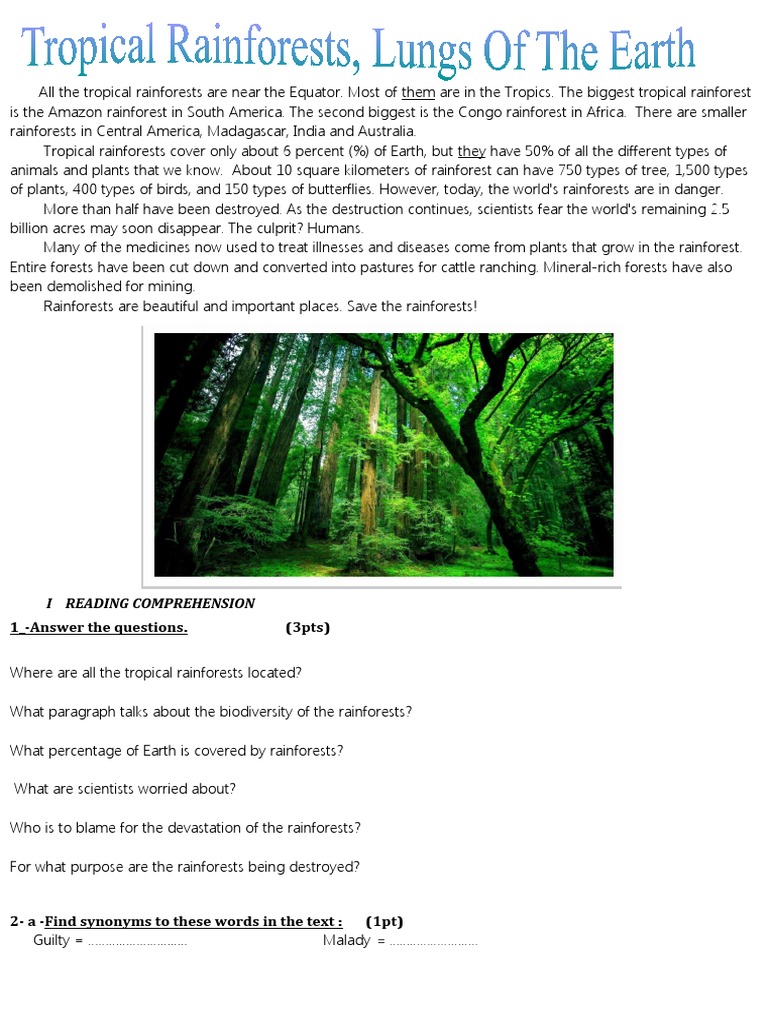 I Reading Comprehension: 1 - Answer The Questions. (3pts) | PDF ...