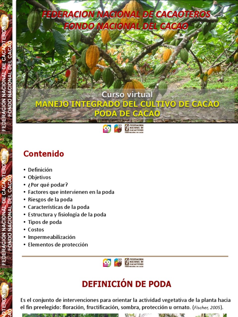Poda en Cacao | PDF | Plantas | Biología