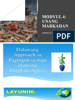 Module 6 Ap 10 q1 | PDF