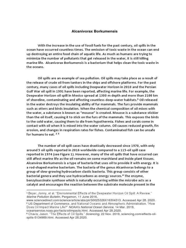 Alcanivorax Borkumensis | PDF | Oil Spill | Environmental Science