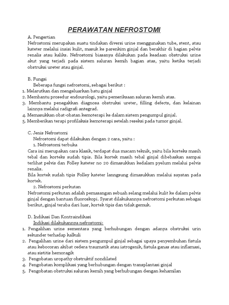 Panduan Perawatan Nefrostomi | PDF