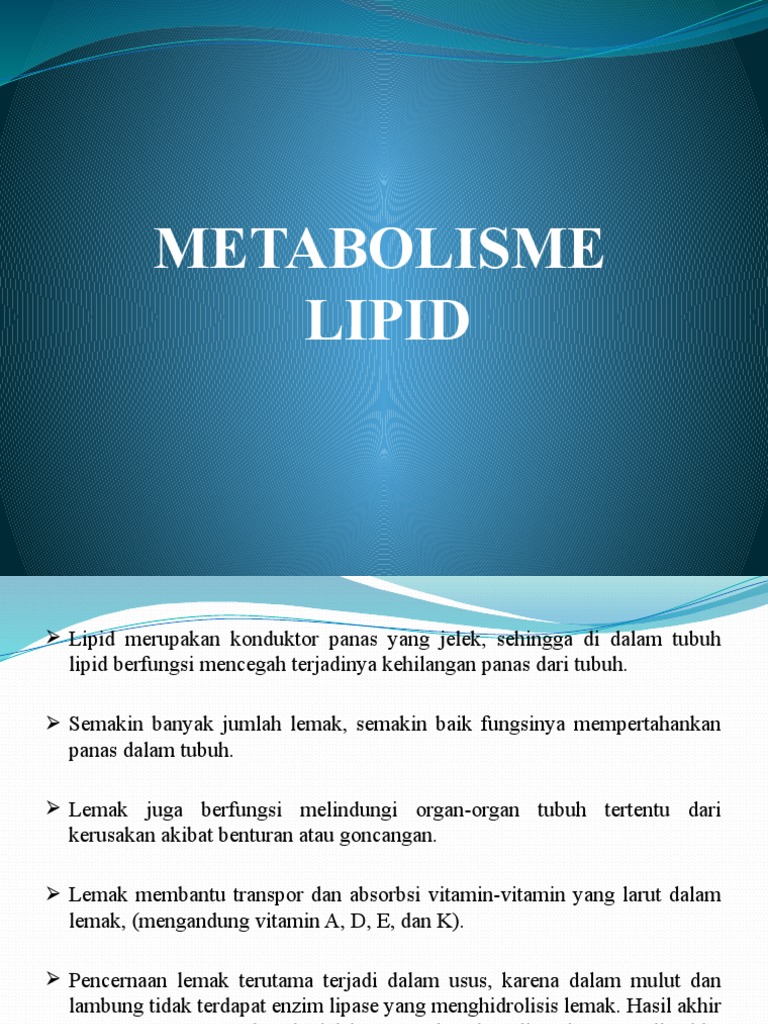 Metab - Lipid Ii | PDF