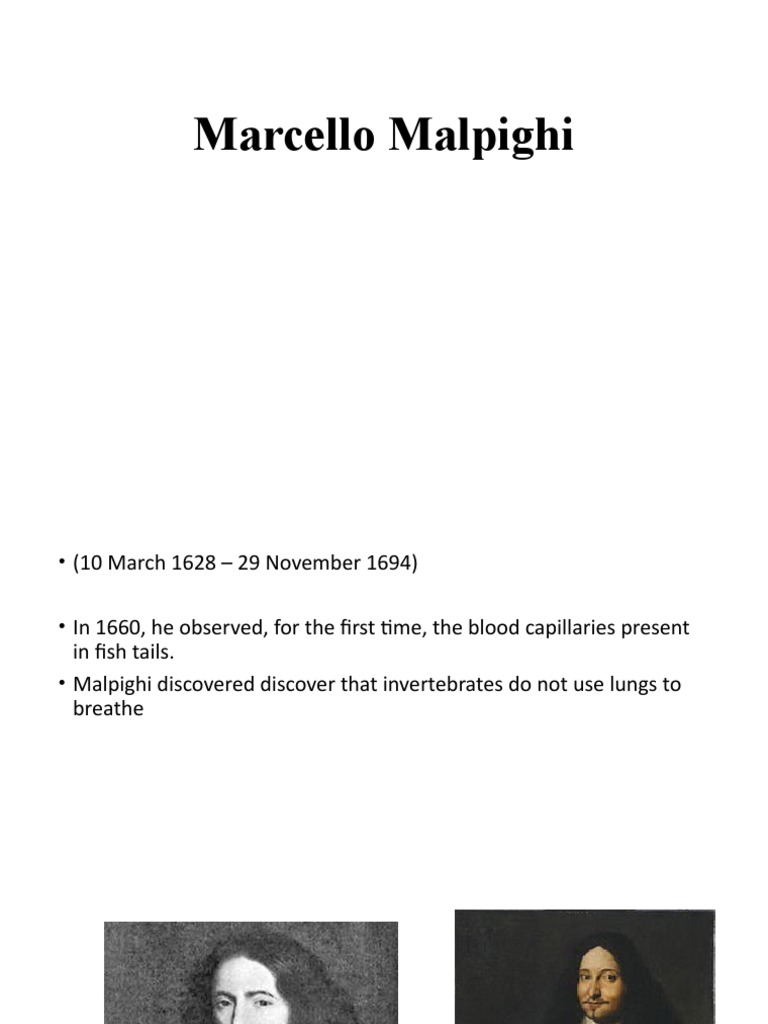 Marcello Malpighi | PDF