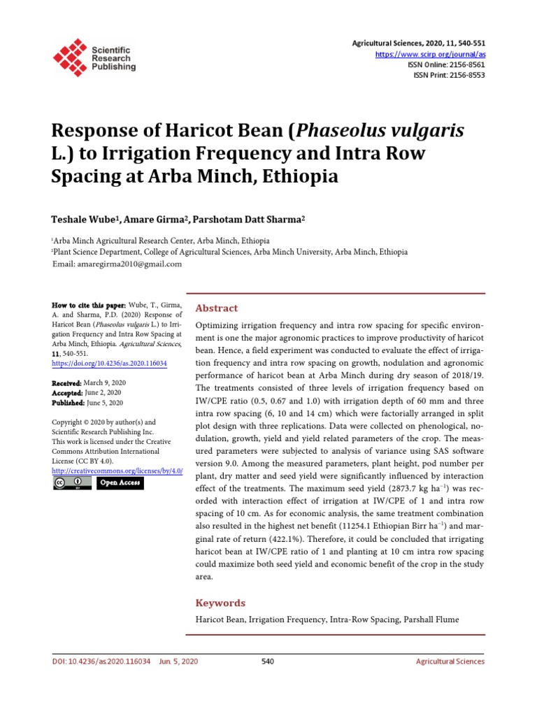 Irrigation Frequency Haricot Bean | PDF | Phaseolus Vulgaris | Bean