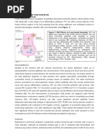 Pediatric Gait Assessment Guide | PDF | Foot | Anatomical Terms Of Motion