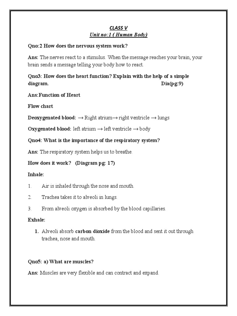 Class 5 Science | PDF | Seed | Human Body