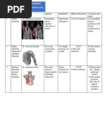 Rom Isom | PDF | Human Anatomy | Limbs (Anatomy)