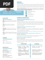 Curriculum Vitae Armando | PDF