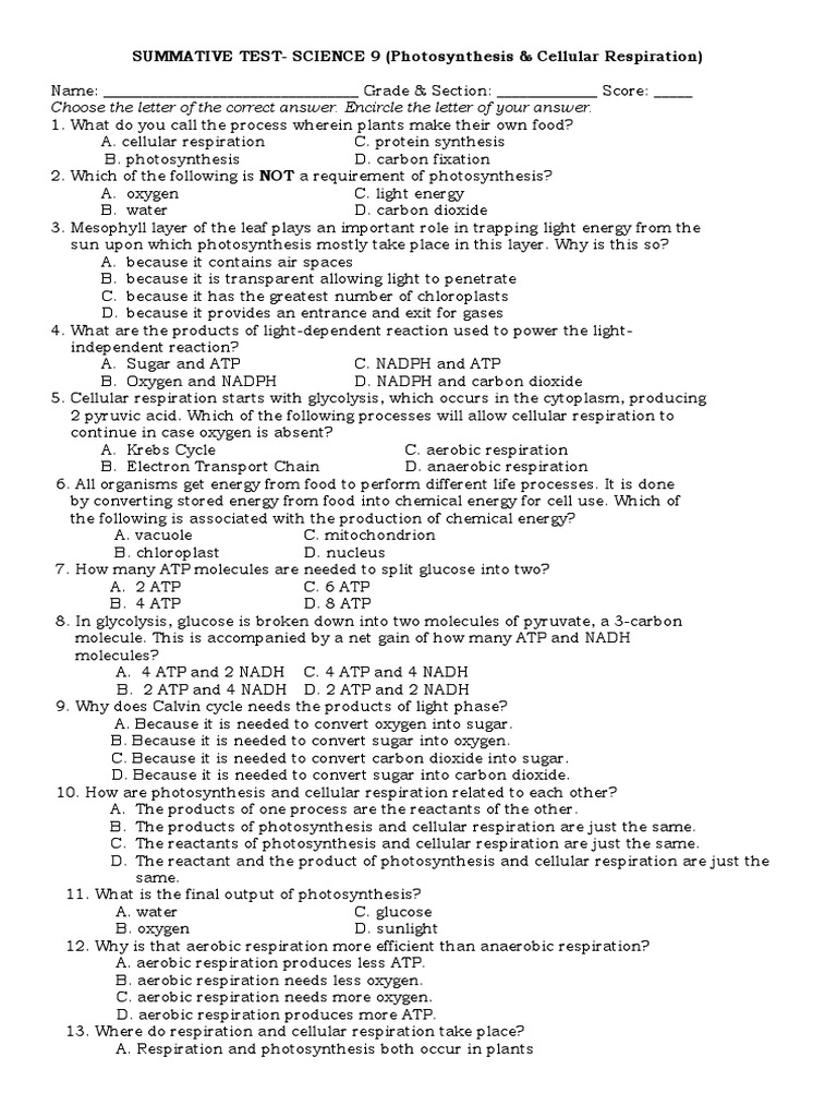 SUMMATIVE TEST-photosynthesis - wk.7 | PDF | Cellular Respiration ...